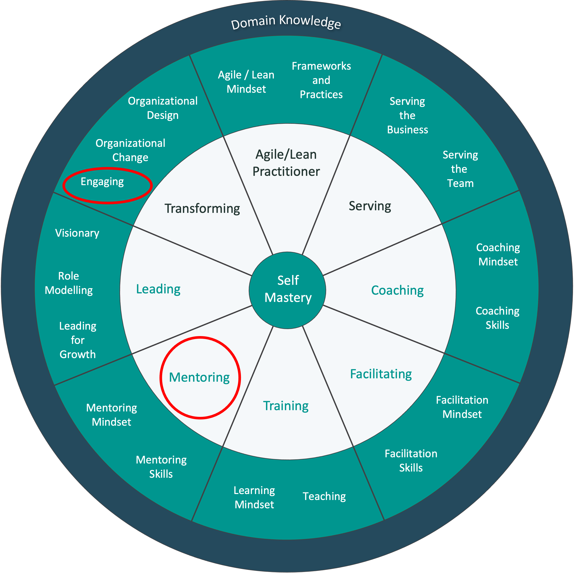Agile Coaching Growth Wheel (Sintra) | Agile Coaching Retreats
